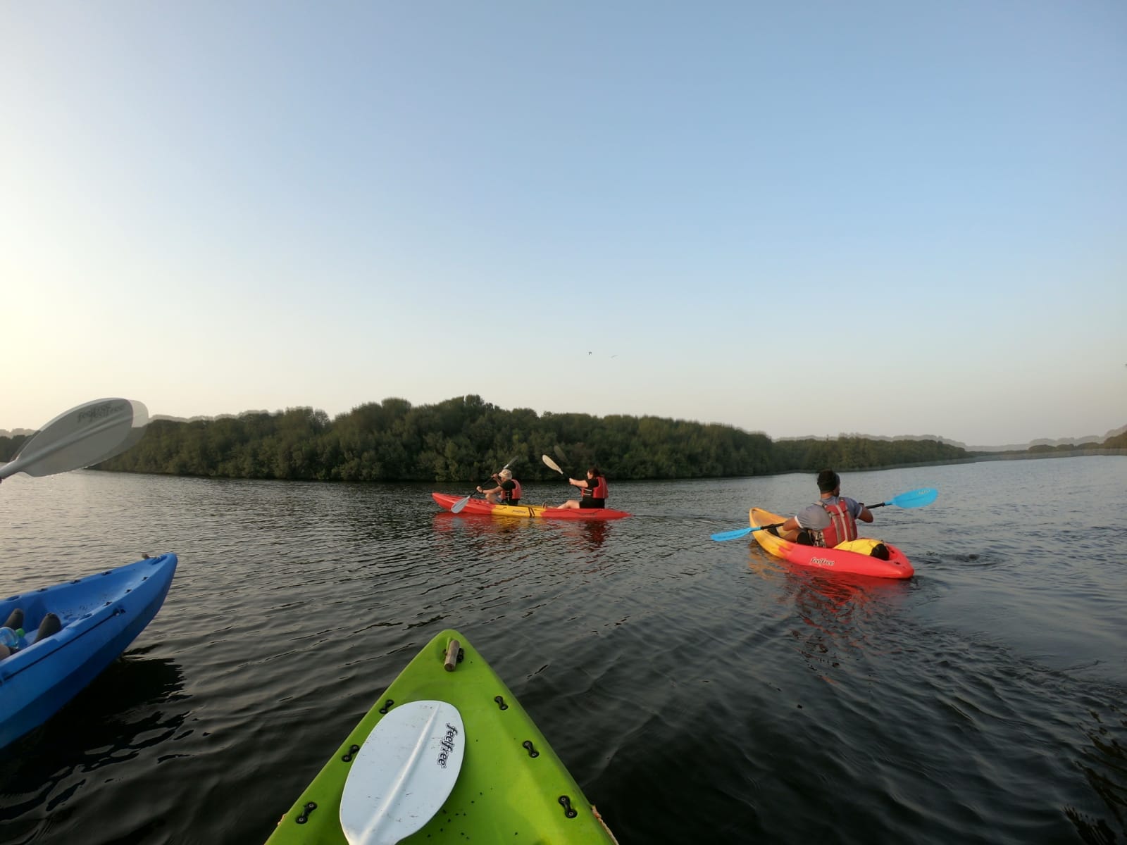 Mangrove Nature Kayak Tour - Urban Desert